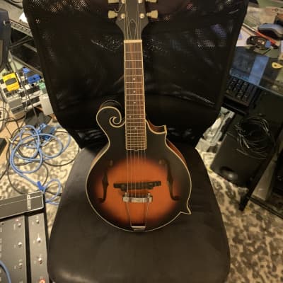 Gold Tone Mando-Guitar | Reverb