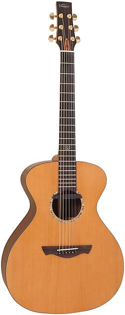 Vintage Gordon Giltrap Deluxe Edition Electro-Acoustic Guitar | Reverb