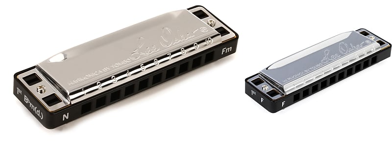Lee Oskar Natural Minor Harmonica - Key of F minor Bundle | Reverb