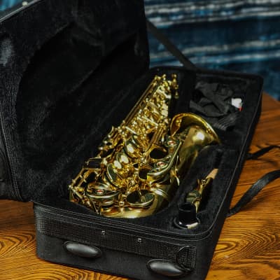 Glory Professional Saxophone - Alto Eb Gold Laquer | Reverb Canada