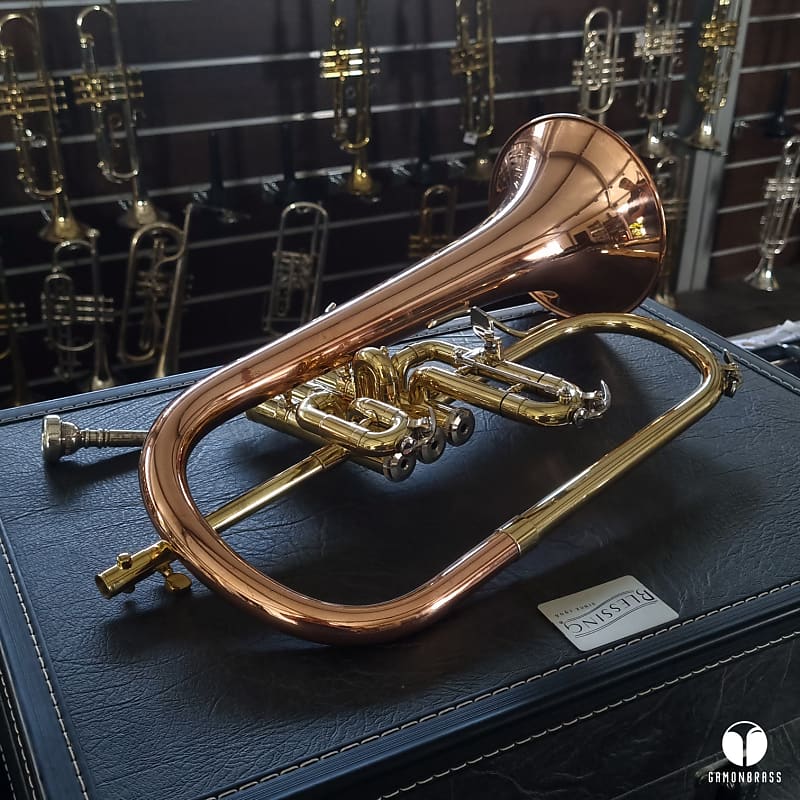 Blessing BFH 1541 flugelhorn Elkhart gamonbrass case Bach | Reverb