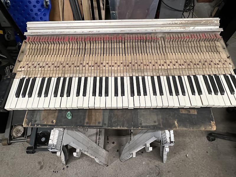 Fender Rhodes Keys, 73 | Reverb