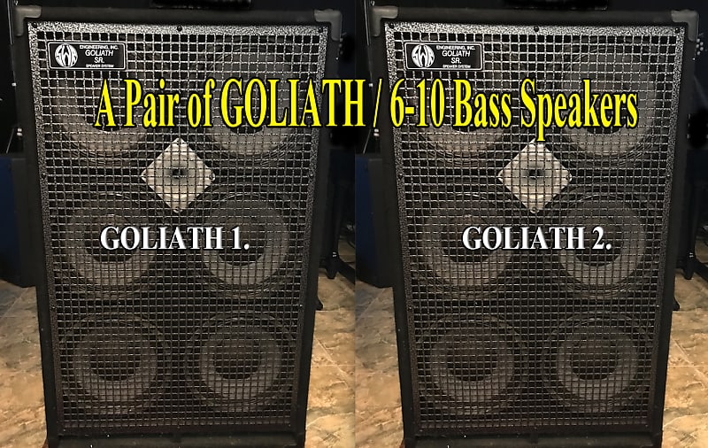 SWR GOLIATH 6-10 Bass Speaker Pair 2005 | Reverb