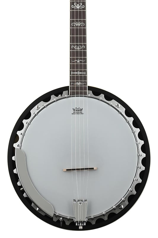 Washburn Americana B10 5-string Resonator Banjo (B10d8) | Reverb