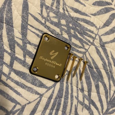 Warmoth VIP Mahogany Body Floyd Ready | Reverb