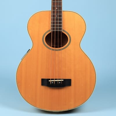 Mobius Megatar - Black/Tan With soft case. | Reverb