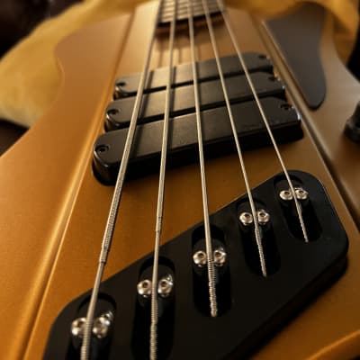 Dingwall D-Roc Custom 5 | Reverb