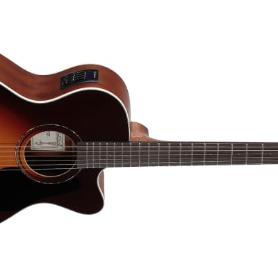 Vintage 90's Alvarez 5214 Regent Series Acoustic | Reverb Deutschland