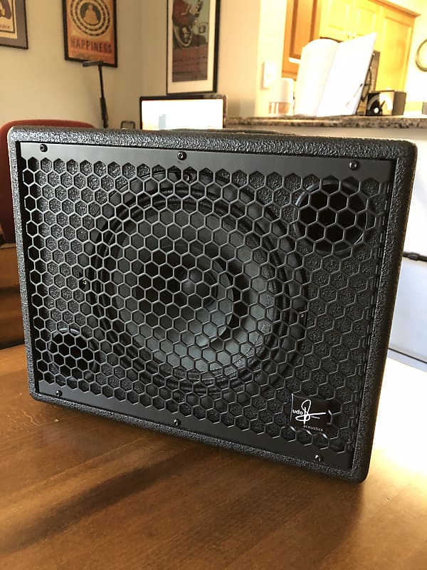 Udo Roesner Amps Da Capo 75 Acoustic (AER) | Reverb