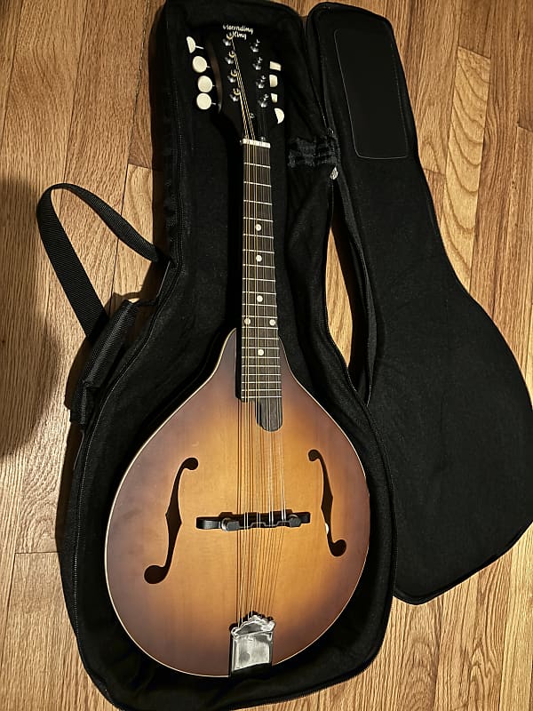 Recording King Ram-3-TS 2023 - Tobacco sunburst | Reverb