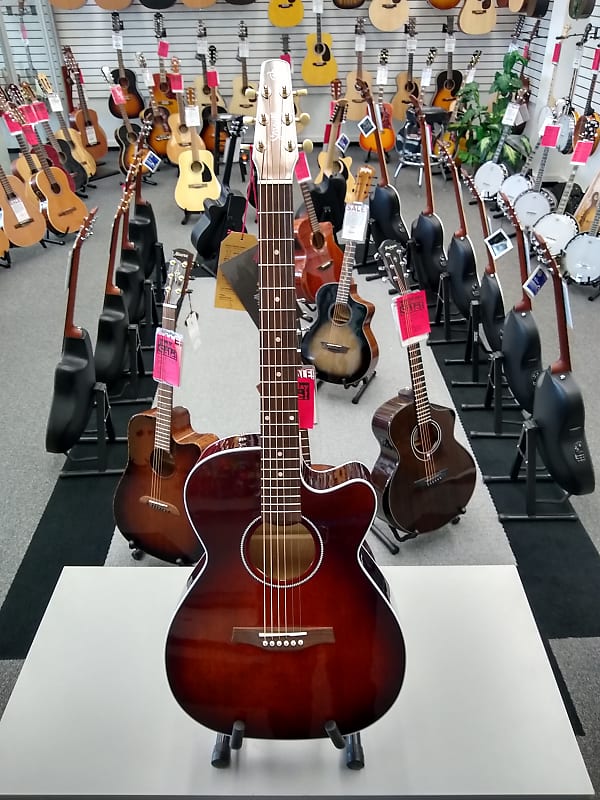 Seagull Performer CW CH Burnt Umber | Reverb