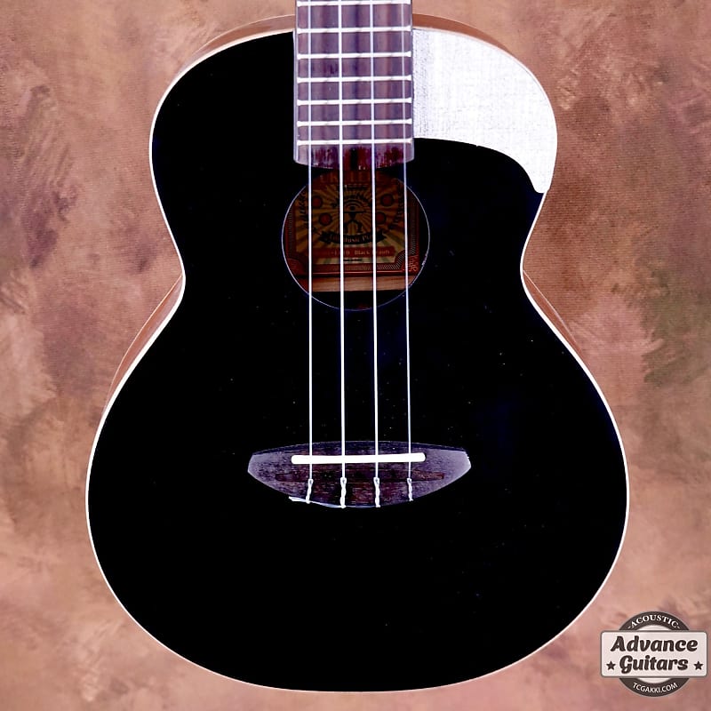 2022 aNueNue aNN-UC10-BB | Reverb