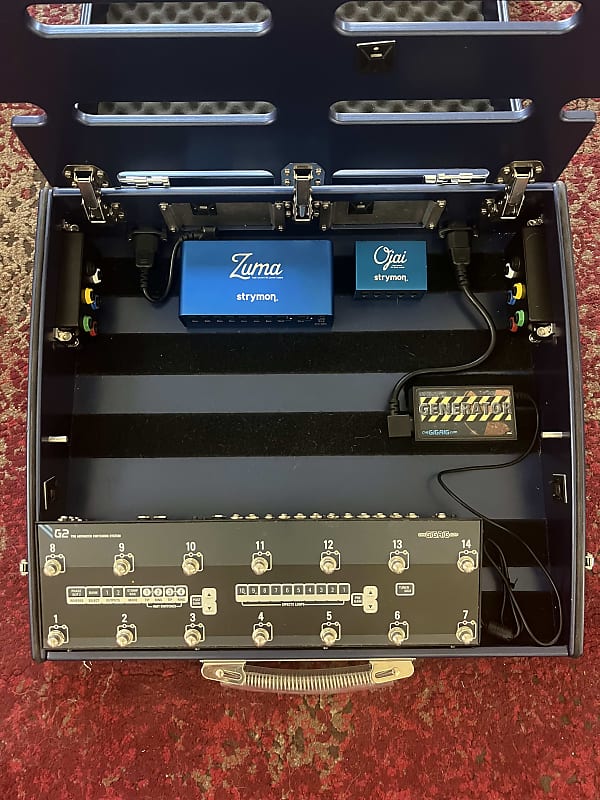 Schmidt Array Gigrig G2 + Schmidt Array SA525XDM + Strymon | Reverb