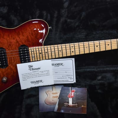 Hamer USA TLE Custom Quilted Maple Arch Top Purple | Reverb France