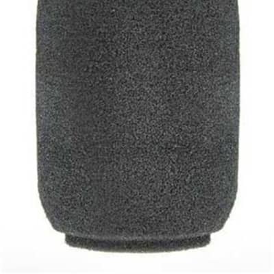 Shure A7WS Large Foam Windscreen for SM7, SM7A, SM7B Mics | Reverb