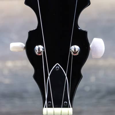 Cort CB-34 Tenor Banjo Bluegrass 4-String Resonator Banjo | Reverb