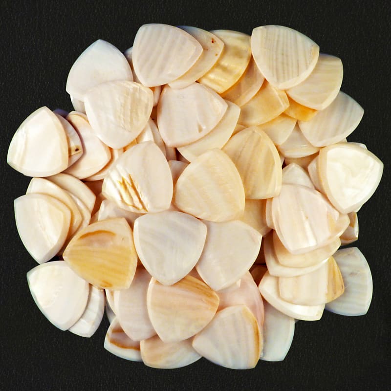 White Abalone Shell Guitar Pick - 346 Triangle Shape - | Reverb