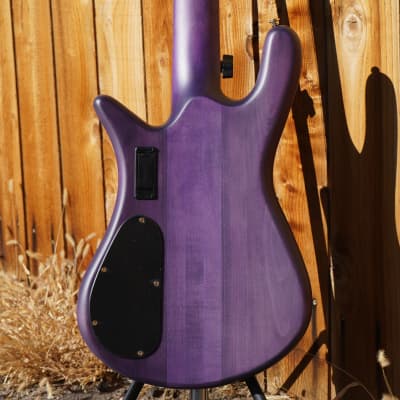 Spector Skyler Acord Signature Violet Stain Finish 5-String | Reverb