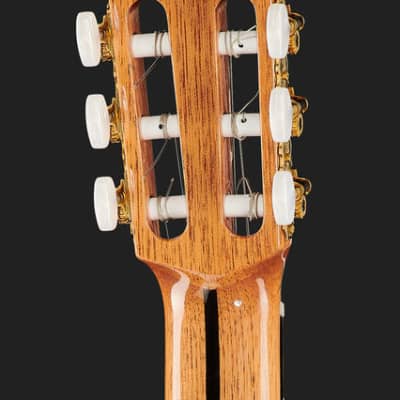 Raimundo Model 145 Palo Santo Flamenco Guitar | Reverb UK