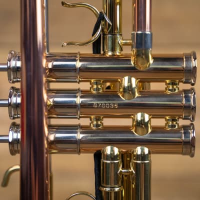 Getzen 900DLX Eterna Series Trumpet in Lacquer w/Case | Reverb