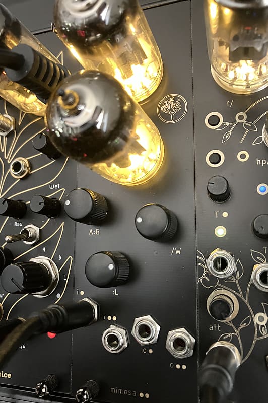 Bizarre Jezabel - Mimosa 8 (Vacuum Tube/Valve) - Stereo | Reverb