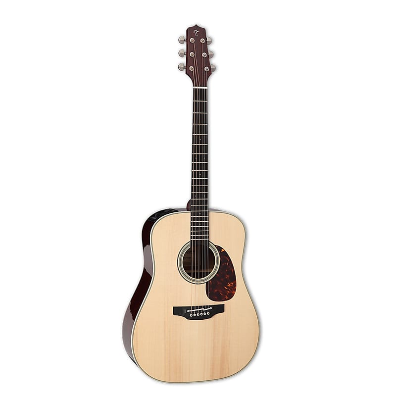 Takamine 6 String Dreadnought Acoustic Guitar With Case, | Reverb