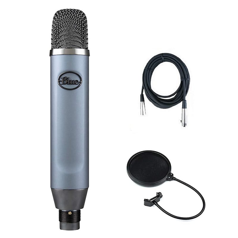 Blue Ember Small Diaphragm Studio Condenser Microphone with | Reverb