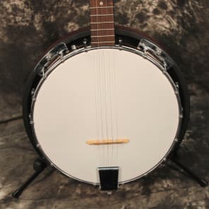 Johnson JB-080 5 String Resonator Banjo | Reverb