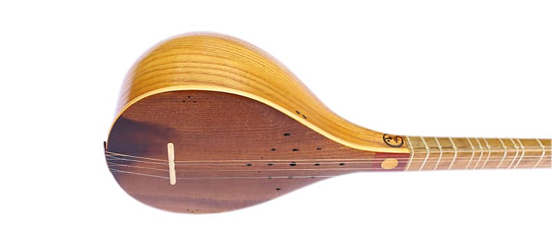 Professional Persian Setar By Shahnaz String Musical | Reverb