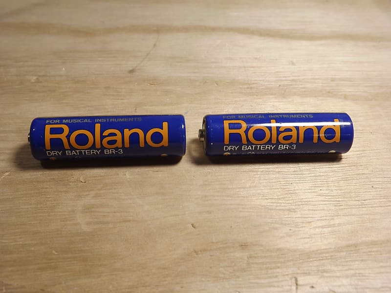 Roland AA batteries | Reverb