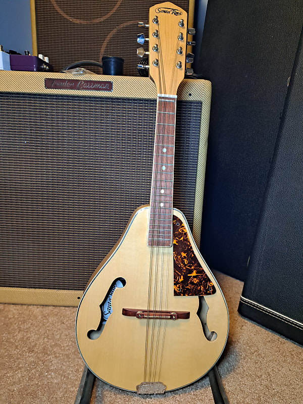 Santa Rosa Mandolin 2000 - Clear Maple | Reverb