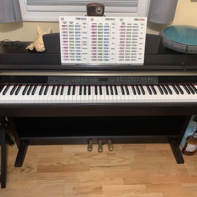 Yamaha Clavinova Digital Piano Keyboard CLP-240, Storage | Reverb