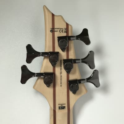 ESP LTD B-205 5-String Right-Handed Electric Bass Guitar & | Reverb