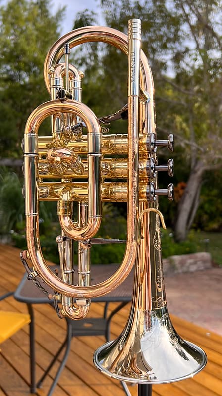 Cornet Bb. Geneva Cardinal Professional | Reverb