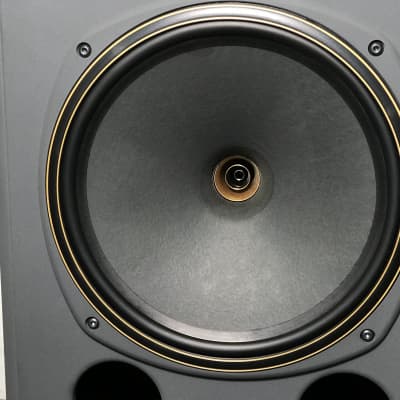 Tannoy 215 DMT II Dual 15” Full Range Studio Monitors (Pair) | Reverb