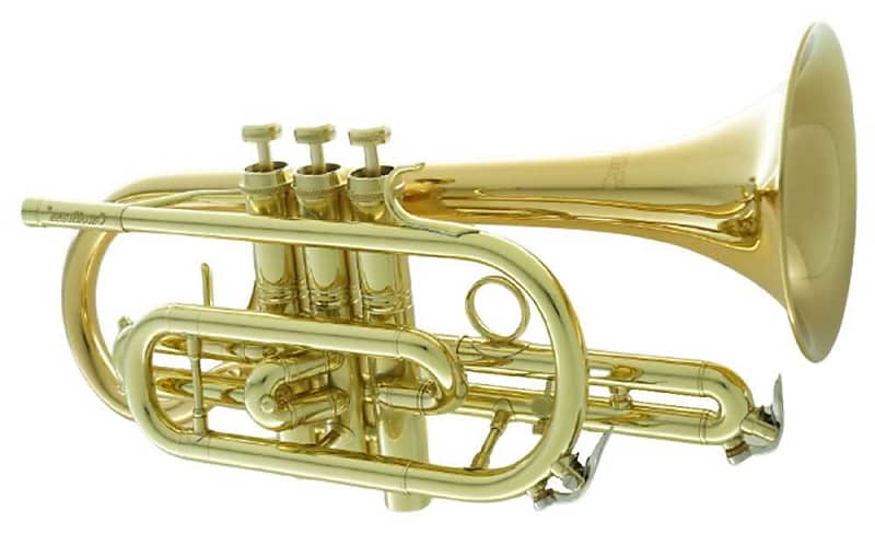CarolBrass Intermediate Gold Brass Cornet CCR-3880-GSS-Bb-L | Reverb