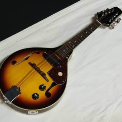 Aria AM-200E acoustic electric Mandolin w/ Case - sunburst - | Reverb