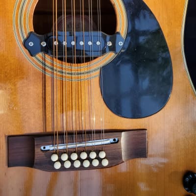 Vintage 1979 Hohner HG12 12 String Acoustic Guitar w/ | Reverb