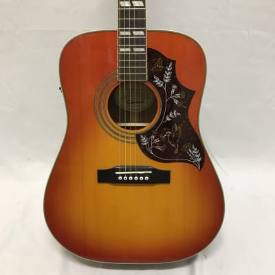 Epiphone Limited Edition Hummingbird Performer PRO | Reverb