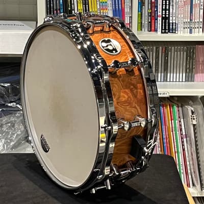 Sonor S-Classix Series SC1405SDWD Walnut Roots Snare Drum | Reverb