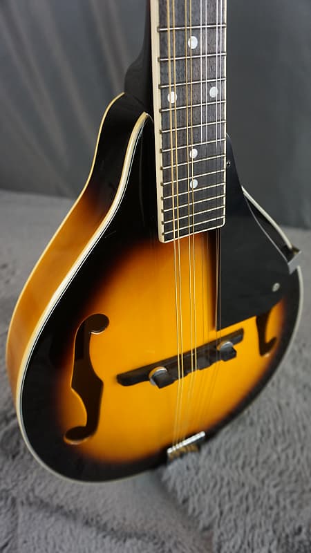 Rogue RM-100A Mandolin | Reverb