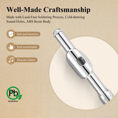 Piccolo Instrument For Beginners Students, Key Of C Piccolo | Reverb