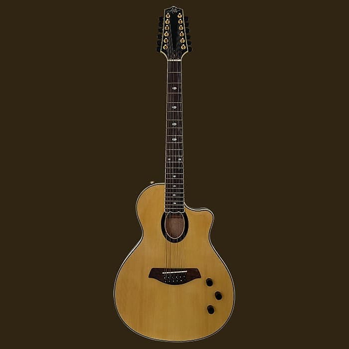 Aslin Dane Icosa 12 String thin line electric-acoustic guitar | Reverb