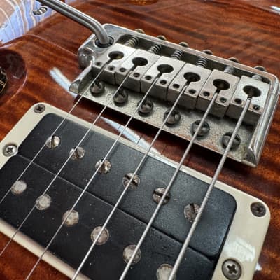 PRS Custom 24 Bird Inlays 10 Top 2014 - Tortoise Shell | Reverb