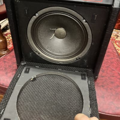 Polytone Taurus baby brute amplifier 1970s | Reverb