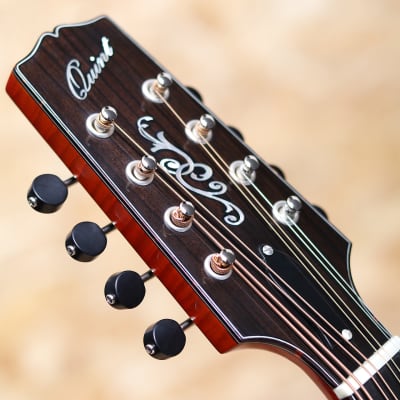 Quint Archtop Octave Mandolin Maple Short Scale Cutaway CS | Reverb