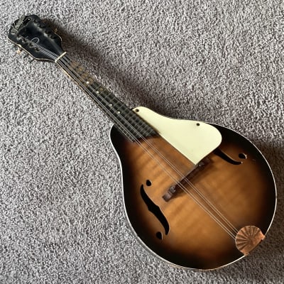 KAY N-2 Mandolin 1960s 2 Color Sunburst | Reverb