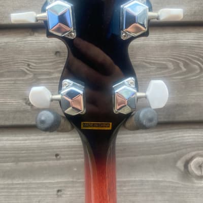 Ozark 5 String Banjo with Gig Bag | Reverb