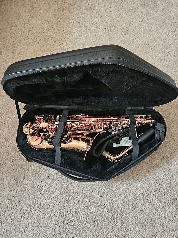 Sax Gourmet Alto Saxophone Model 6 2012-2014 - Copper | Reverb