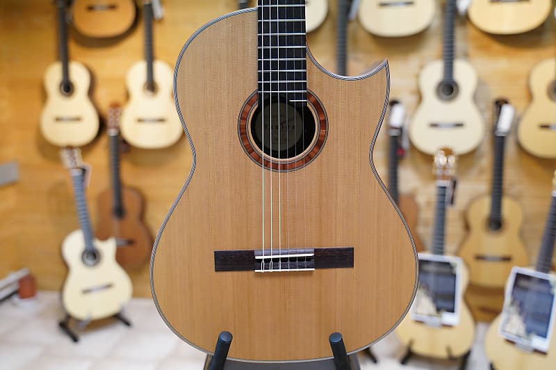 Hanika Basis Cut PC | Reverb